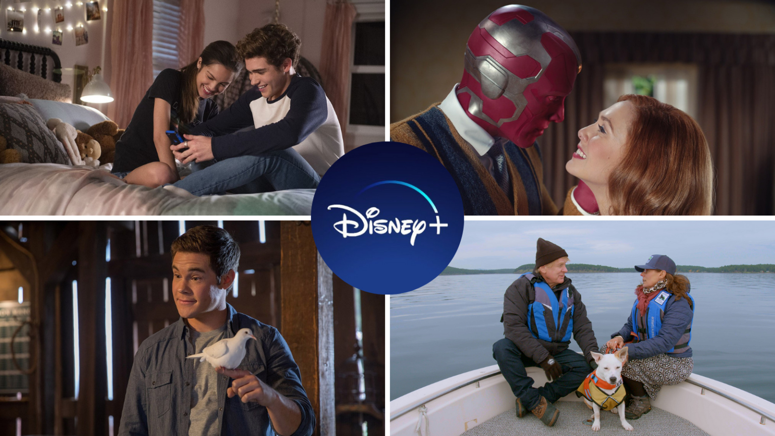 Estrenos del viernes 15 de enero en Disney+ - Aventuras Nerd